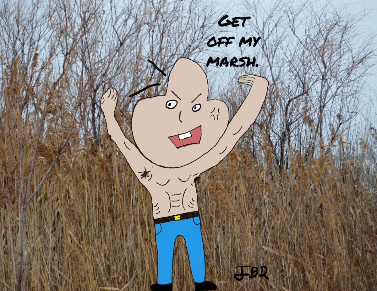 About – The Guffaw Gallery