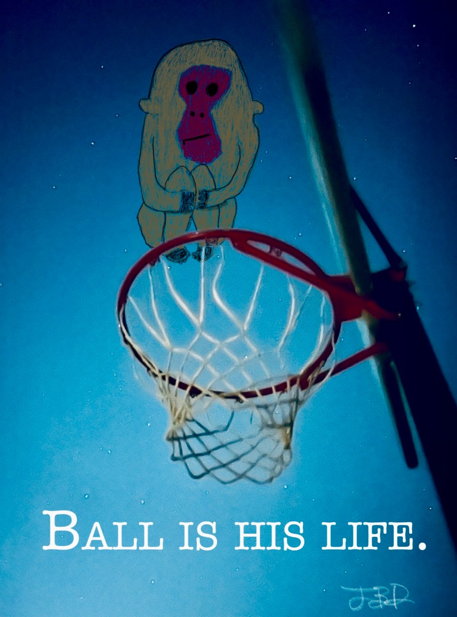 Ball is his life. – The Guffaw Gallery